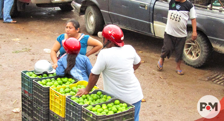 Caja de limón llega a 250 pesos y la lima agria a $500 - Punto Medio