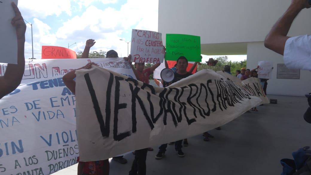 Homún, ejemplo de ilegalidad y corrupción - Punto Medio