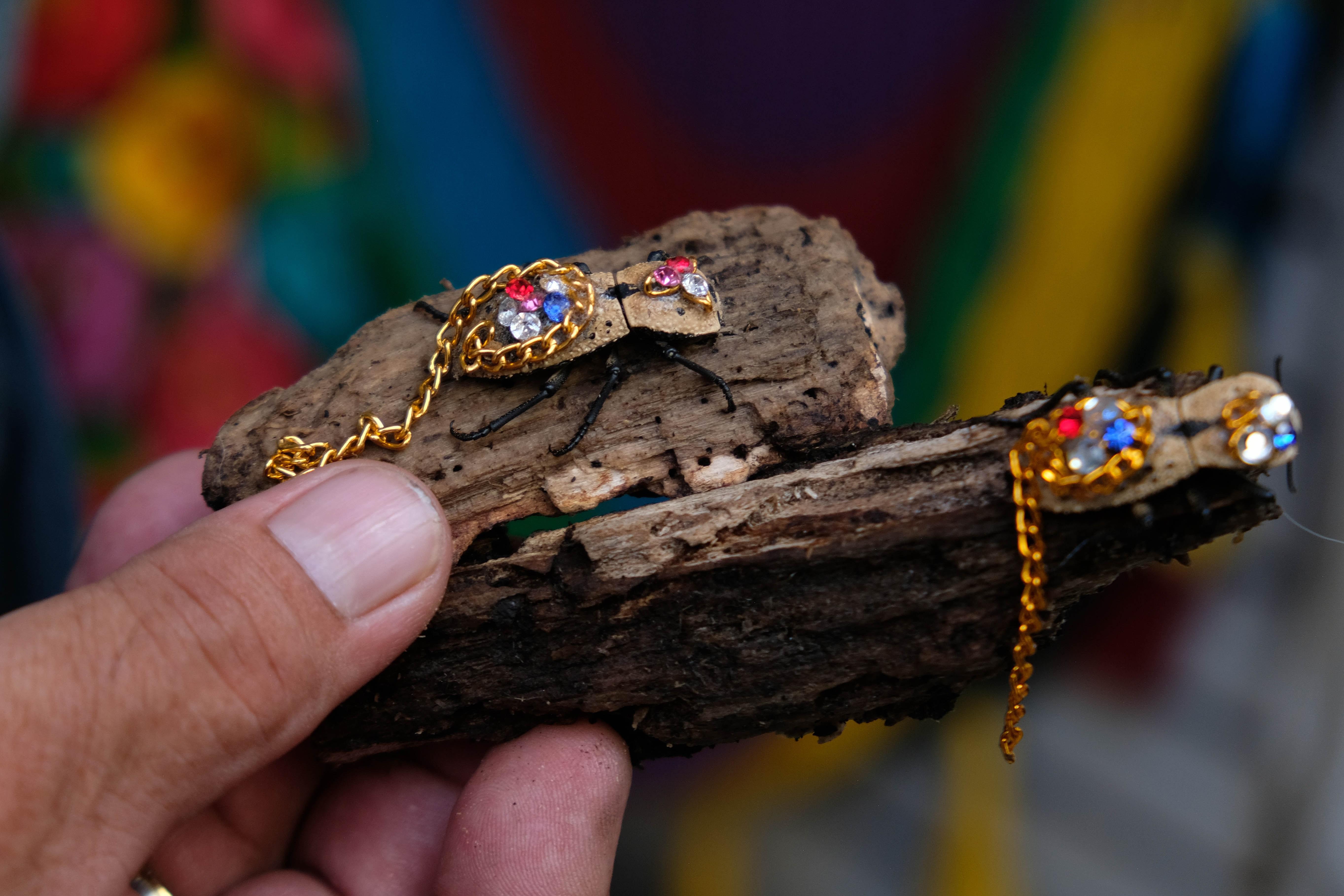 El maquech: símbolo de amor imposible y sustento económico - Punto Medio