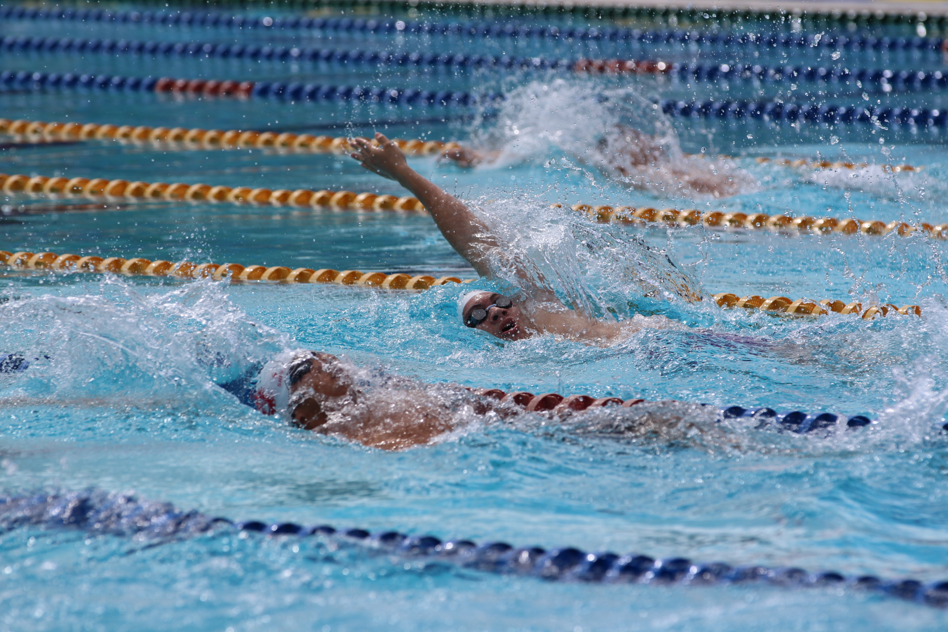 Empieza la natación en la Olimpiada Nacional - Punto Medio