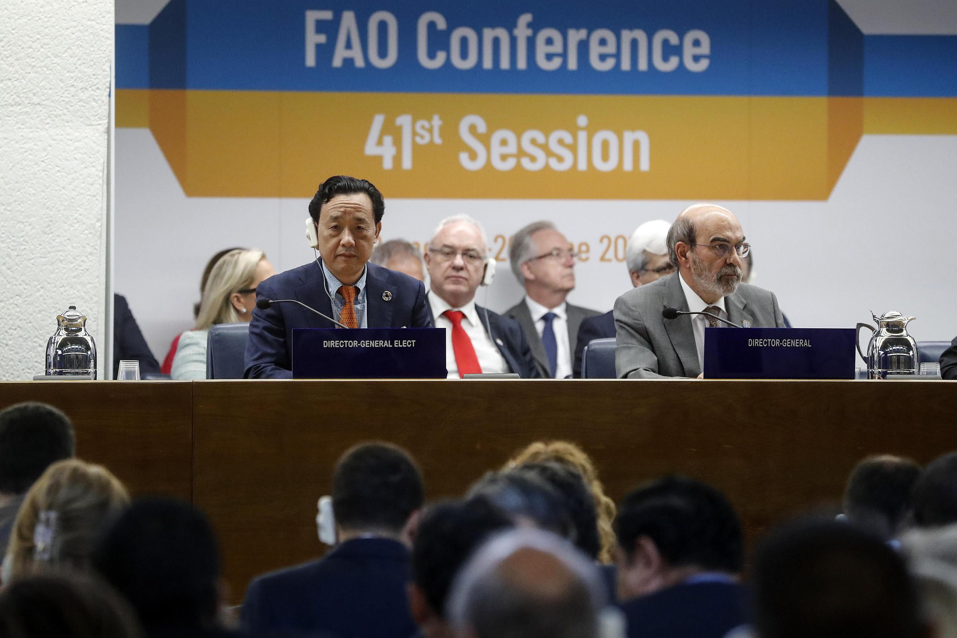 FAO - Election of the new Director General - Punto Medio