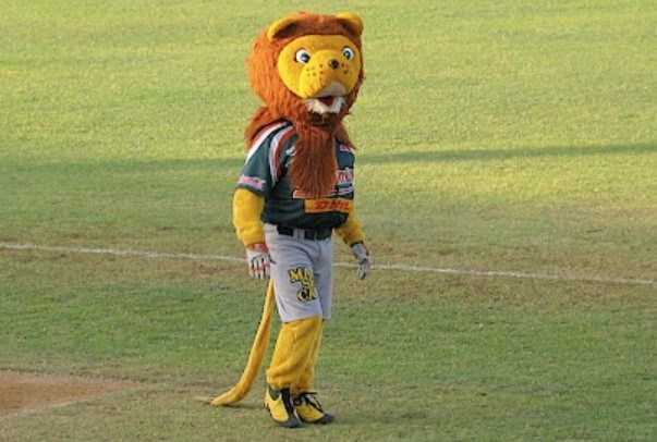 Leoncio, la exmascota de Leones cumple 38 años - Punto Medio