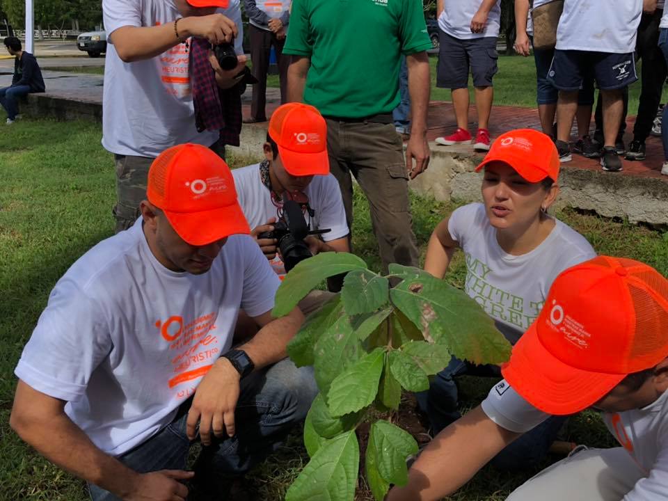 Más empresas apoyan al medio ambiente - Punto Medio