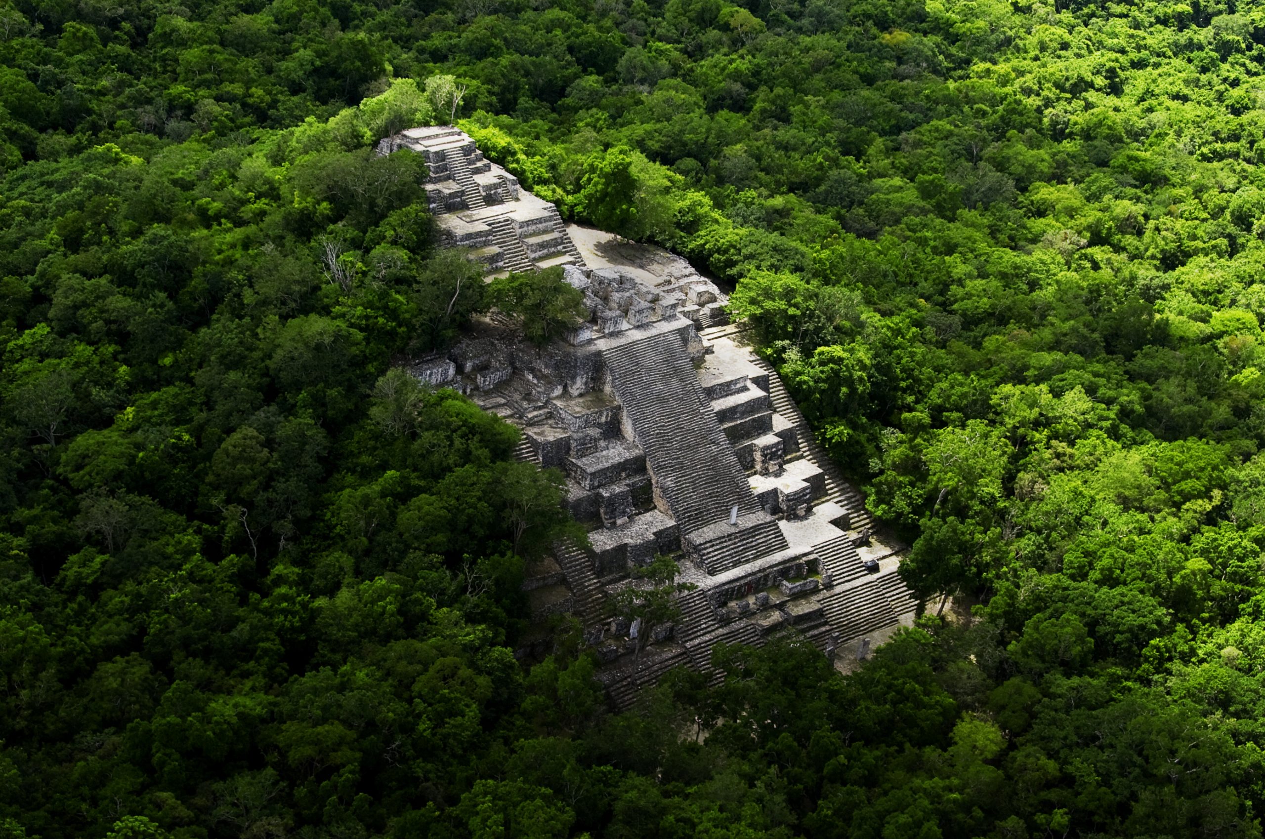 Calakmul: naturaleza e historia - Punto Medio