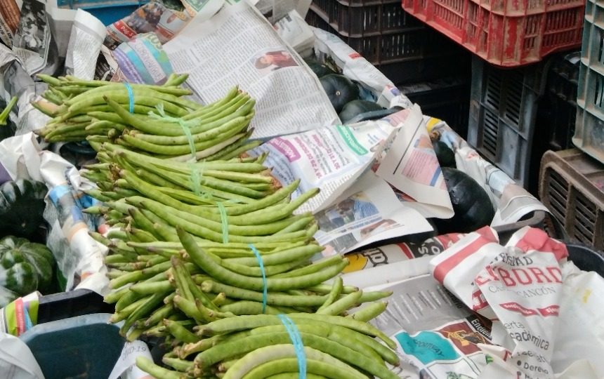 Frijoleros se frotan las manos con el espelón - Punto Medio