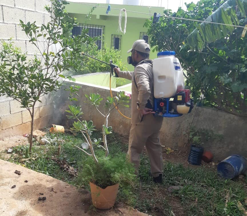 Redoblan acciones contra el mosco Aedes aegypti para evitar el dengue ...