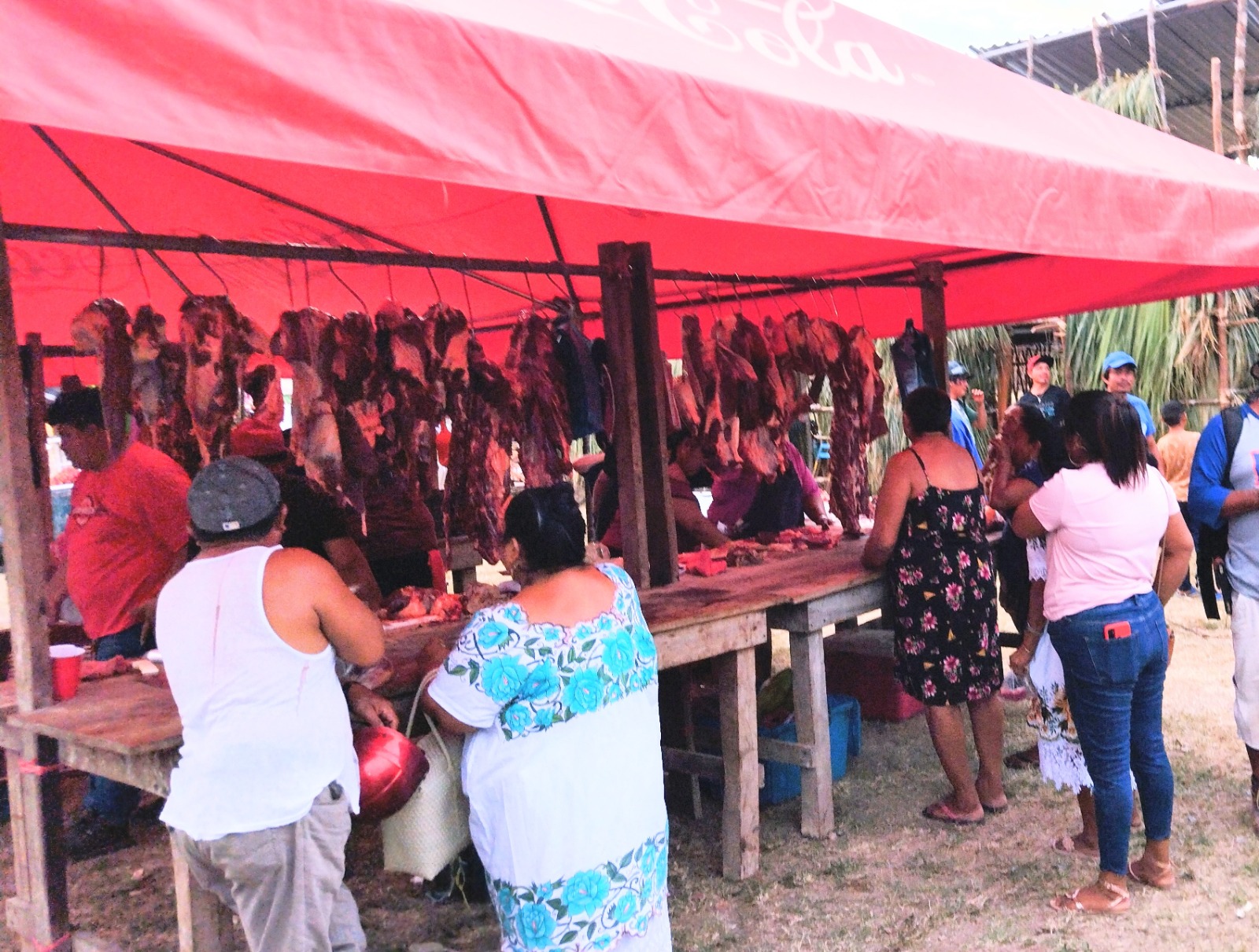 La carne del chocolomo se consigue en las corridas de las fiestas ...