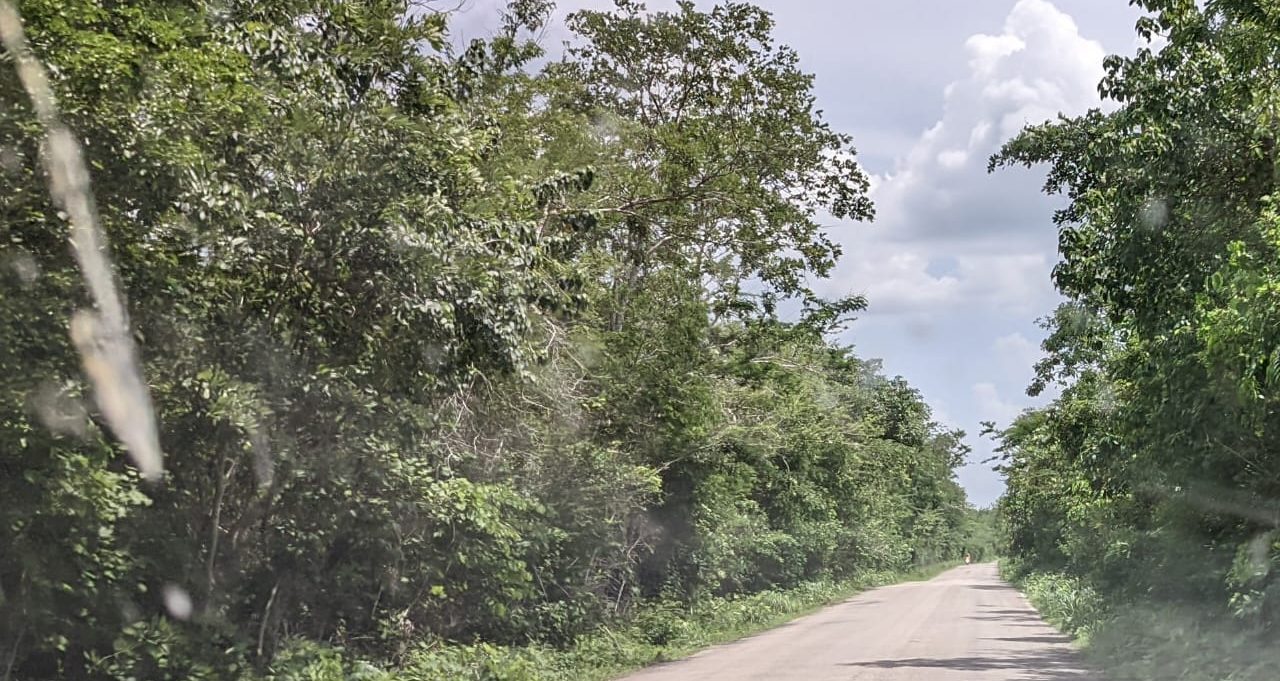 Hallan a dos personas sin vida cerca del entronque a Chun Muul de tramo Maní-Oxkutzcab. - Punto ...