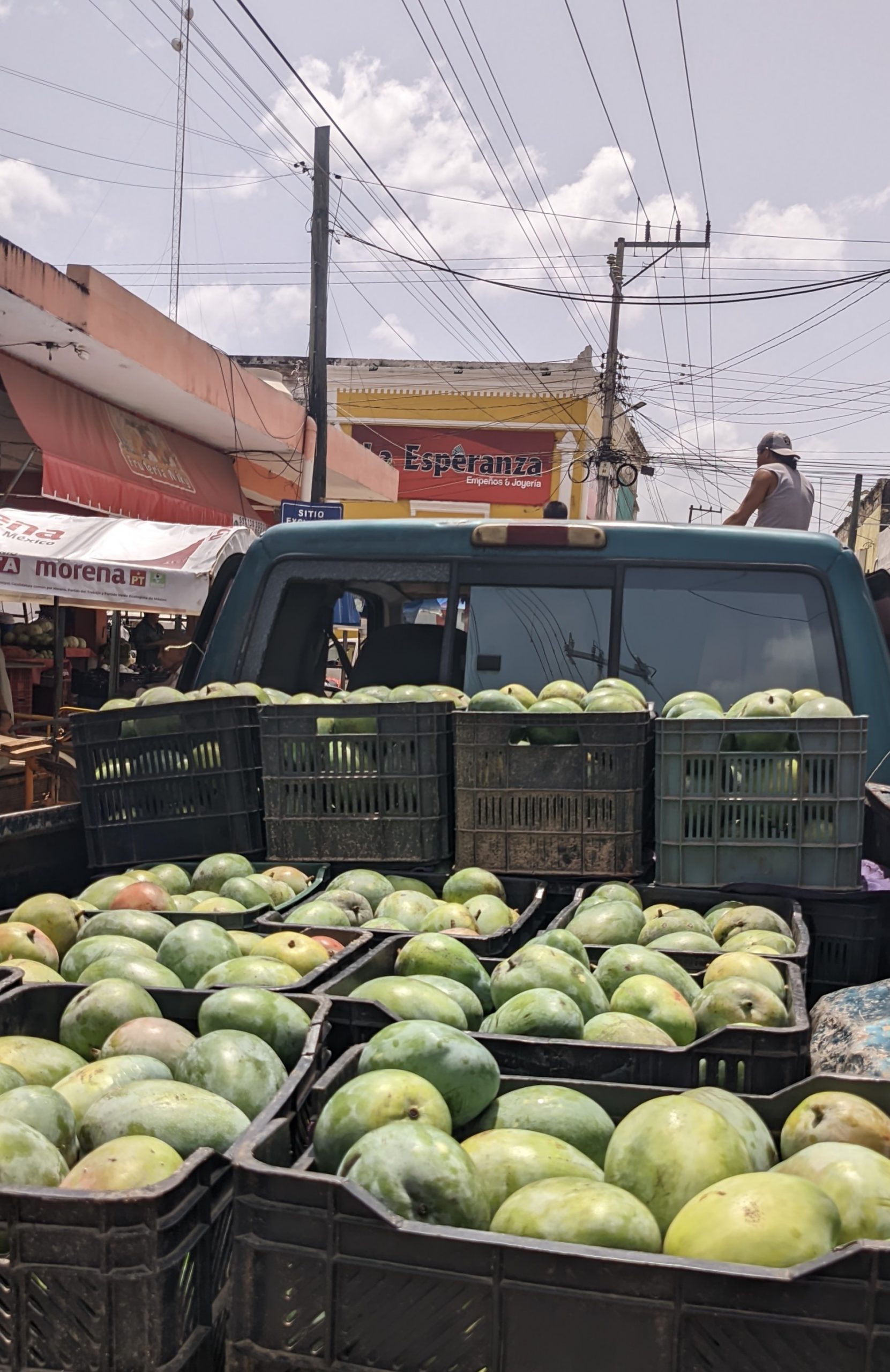 Bonanza en la venta de mango de la variedad Heidi en la plaza de ...