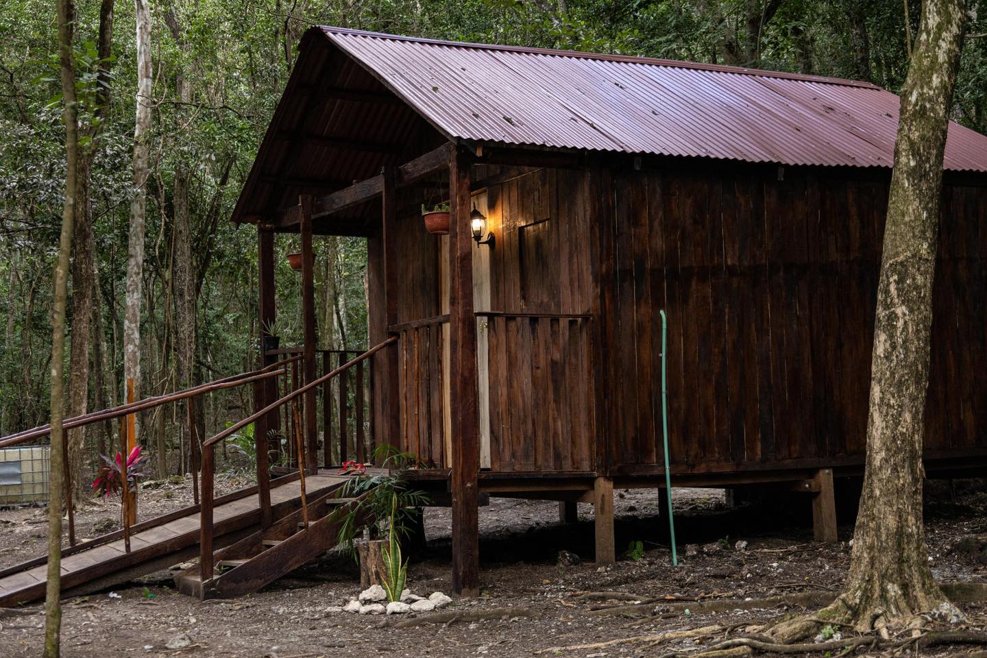 Nueva opción para ecoturismo en Xíimbal Balam, Ejido 5 de Febrero ...