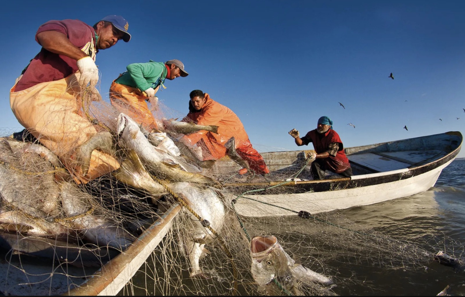 Séptimo lugar en pesca marina - Punto Medio