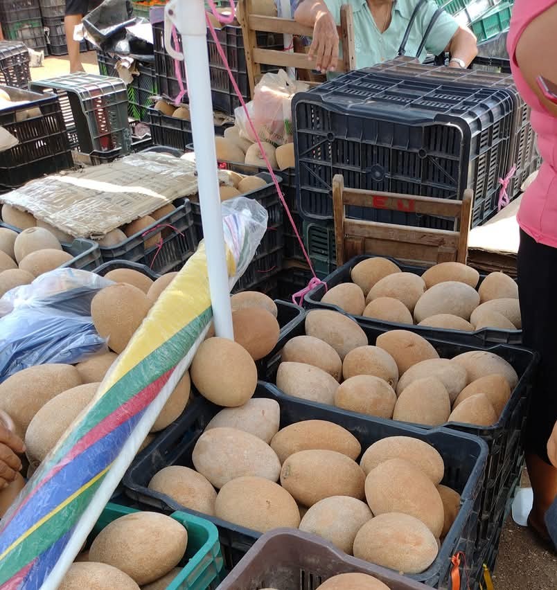 Mango, mamey y ciruela, productos que más se venden - Punto Medio