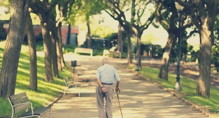 La pereza y la vejez - Punto Medio